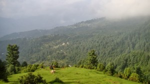 Rawalakot, Azad Kashmir, Pakistan