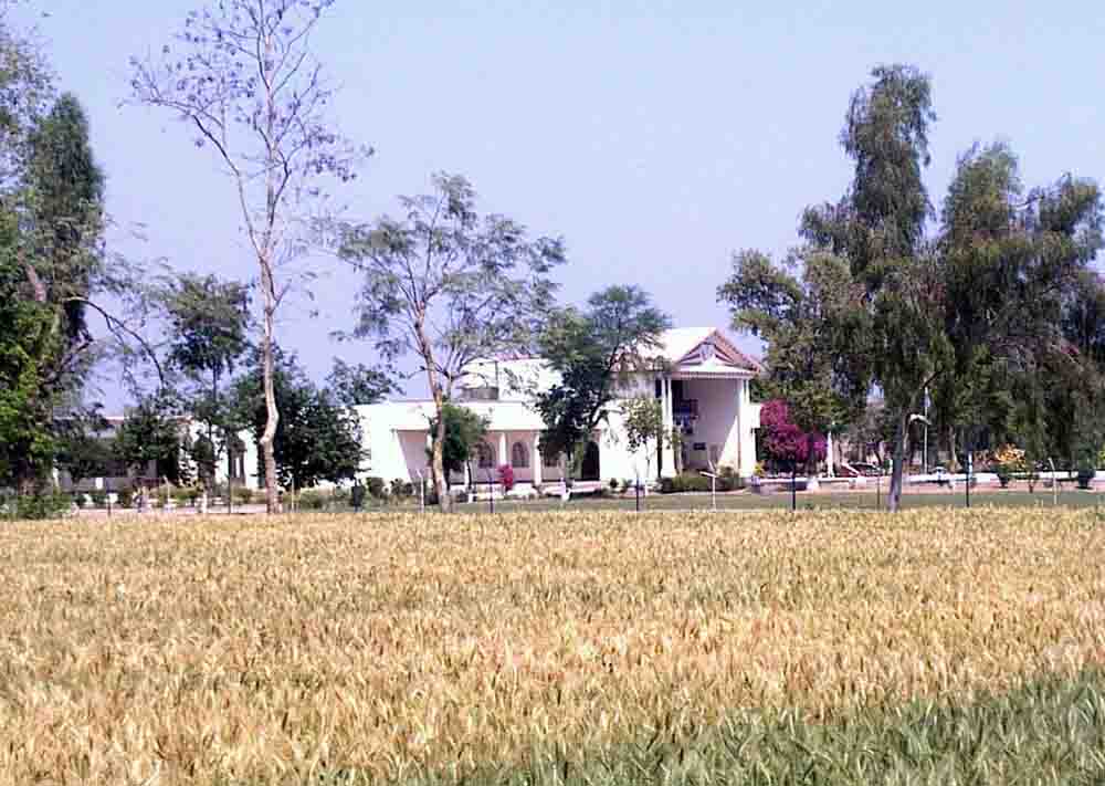 Travel My Pakistan | Khanewal, Punjab, Pakistan-Travel my Pakistan