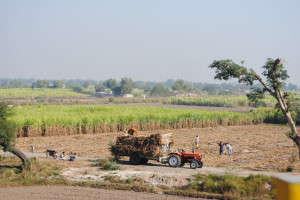 Ahmedpur East, Punjab, Pakistan-Travel my Pakistan