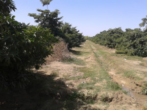 Lasbela, Balochistan, Pakistan-Travel my Pakistan